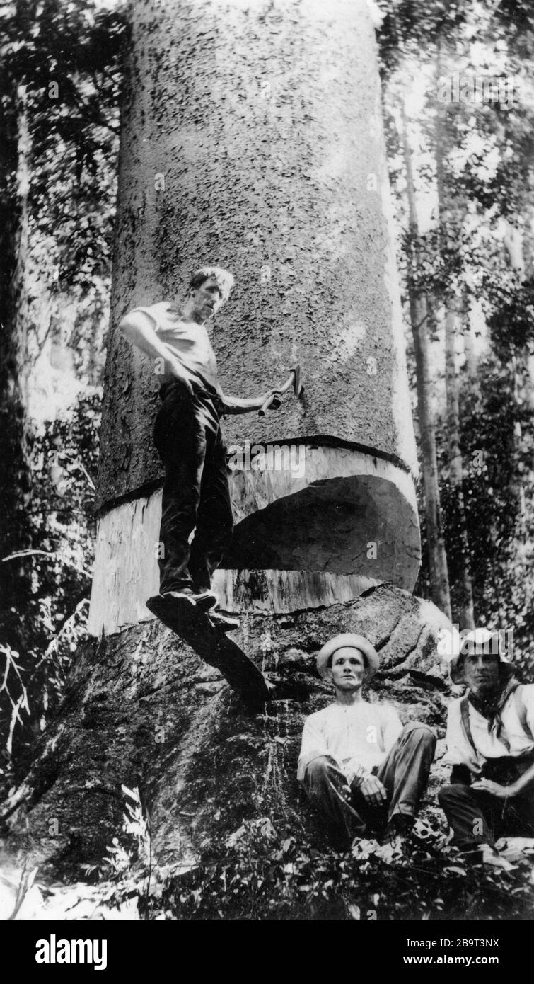 Hillcoat Black and White Stock Photos & Images - Alamy