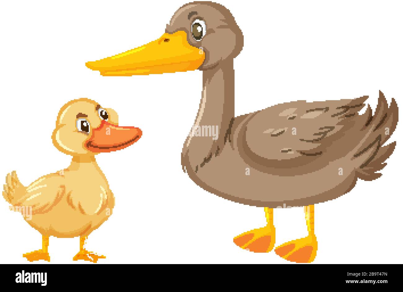 Two ducks on white background illustration Stock Vector Image & Art - Alamy