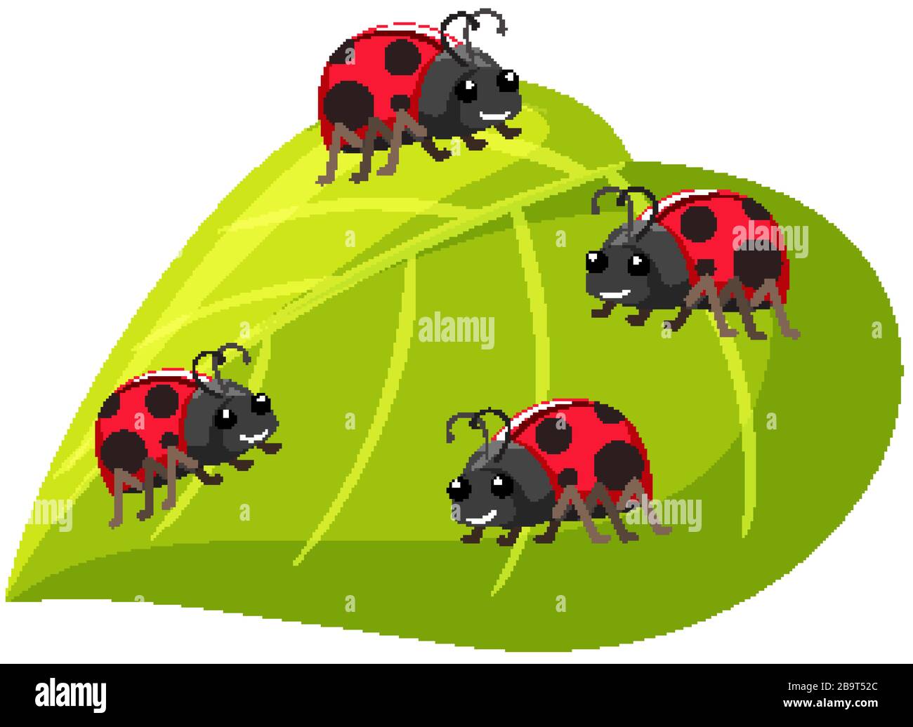 Four ladybugs on green leaf on white background illustration Stock ...