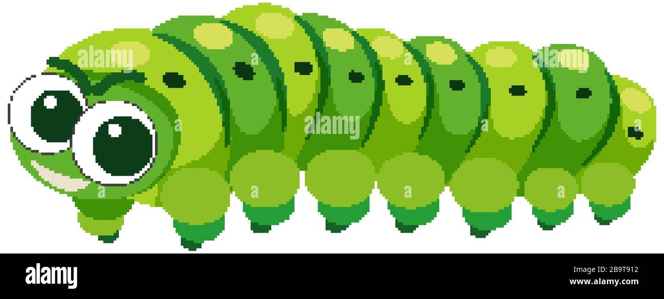 Face of caterpillar Stock Vector Images - Alamy