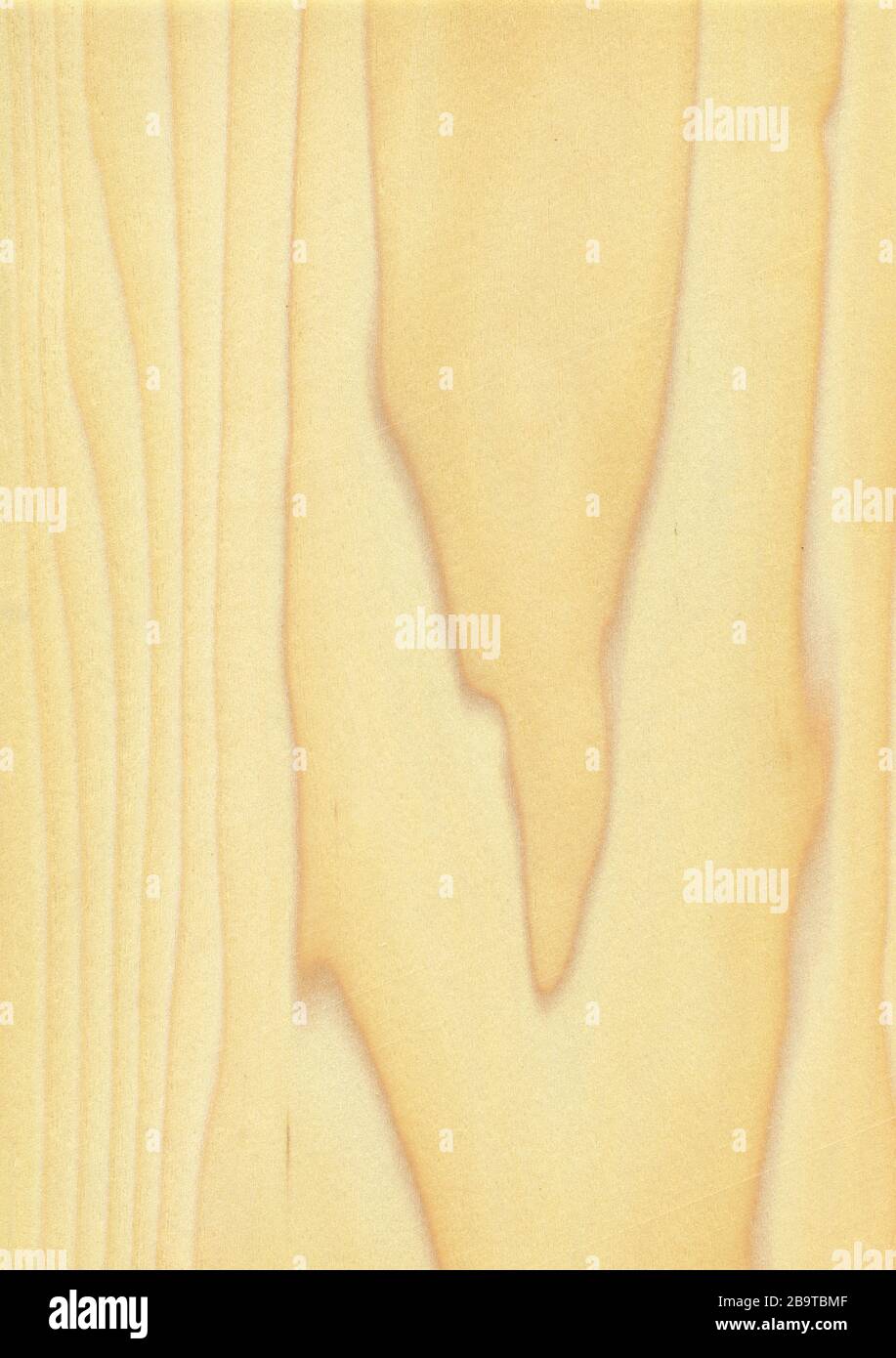 Natural wooden texture background. poplar wood Stock Photo - Alamy