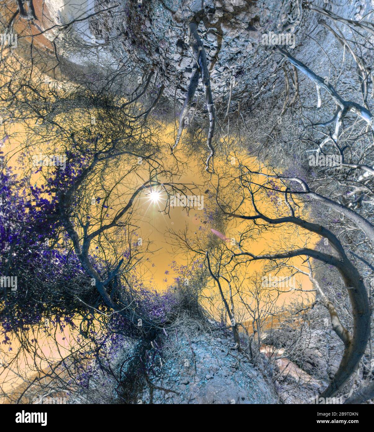 Fantasy imaginary hi-res stock photography and images - Alamy