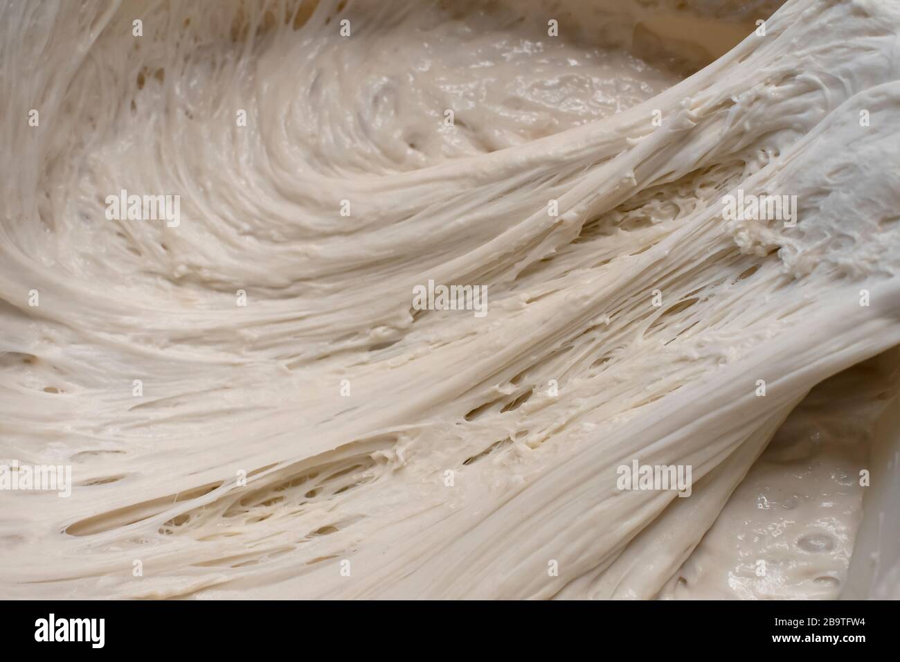 A close look at the strands of gluten in a Sour Dough Starter Stock ...