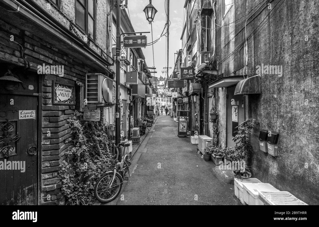 Small alley full of back street tiny bars in Golden Gai area during the ...