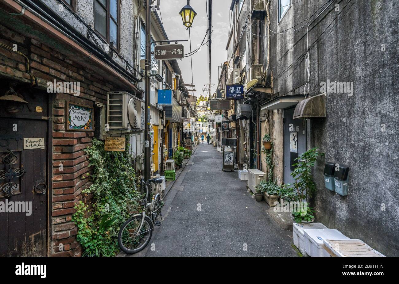 Small alley full of back street tiny bars in Golden Gai area during the ...