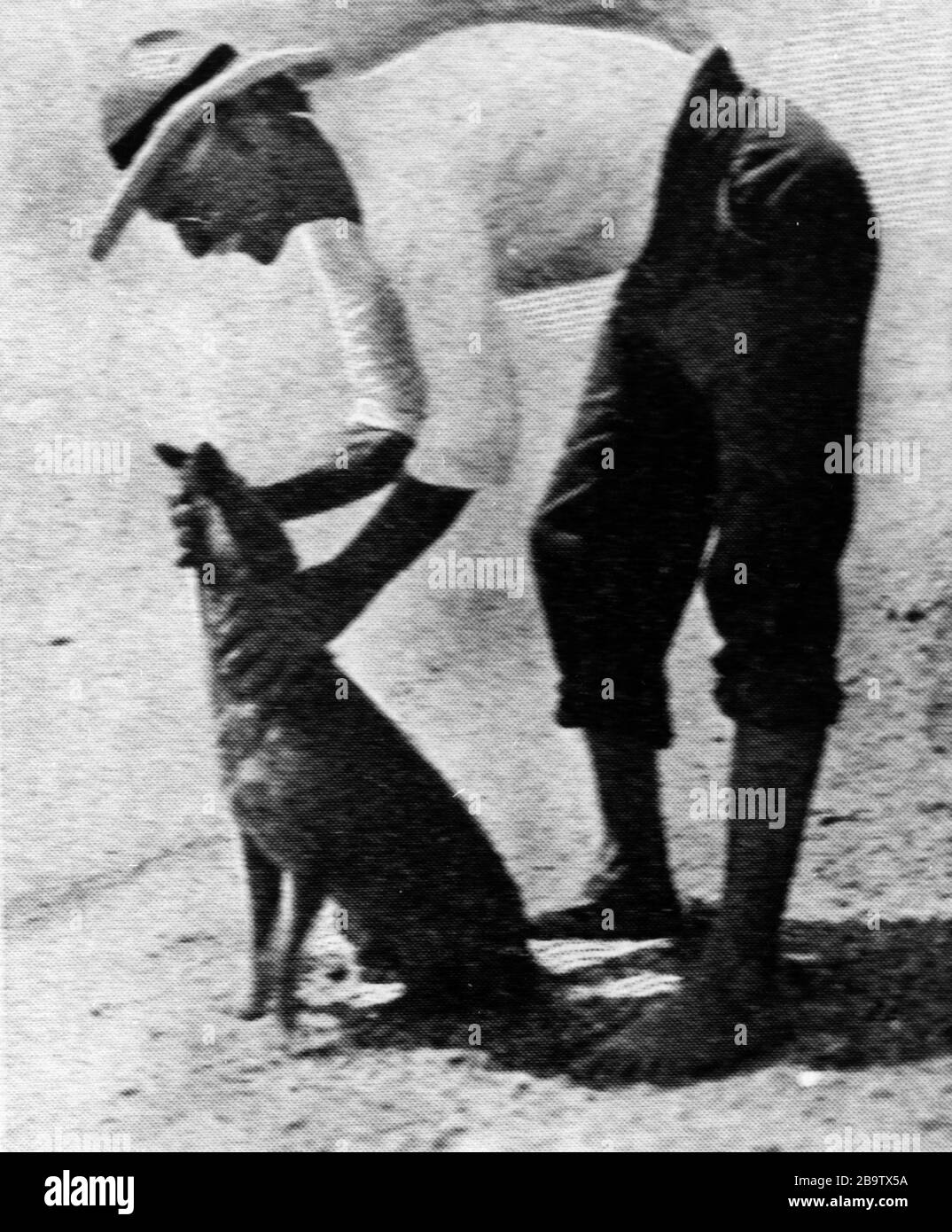 Queensland j hi-res stock photography and images - Alamy