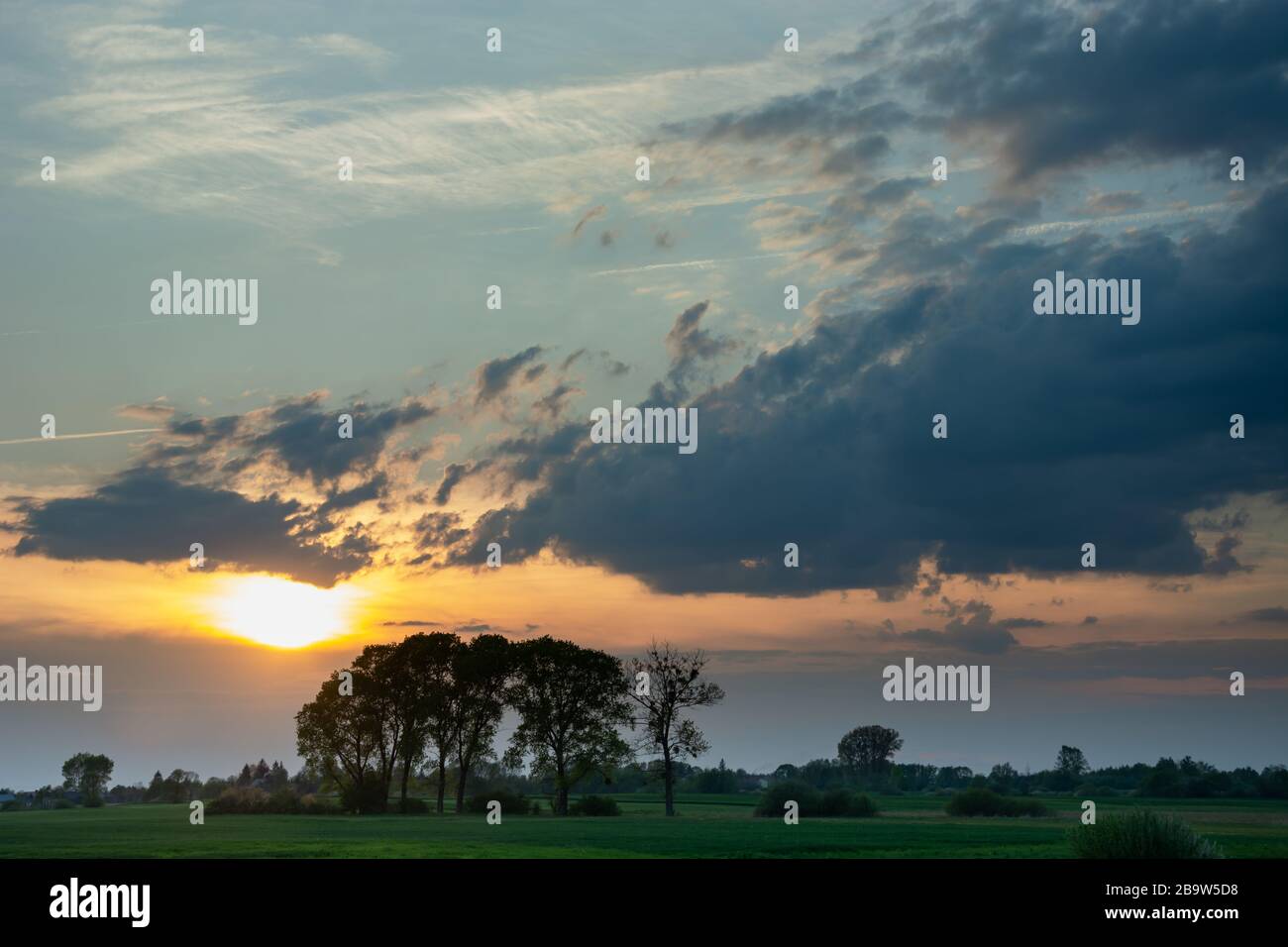 Setting sun and large tree hi-res stock photography and images - Alamy
