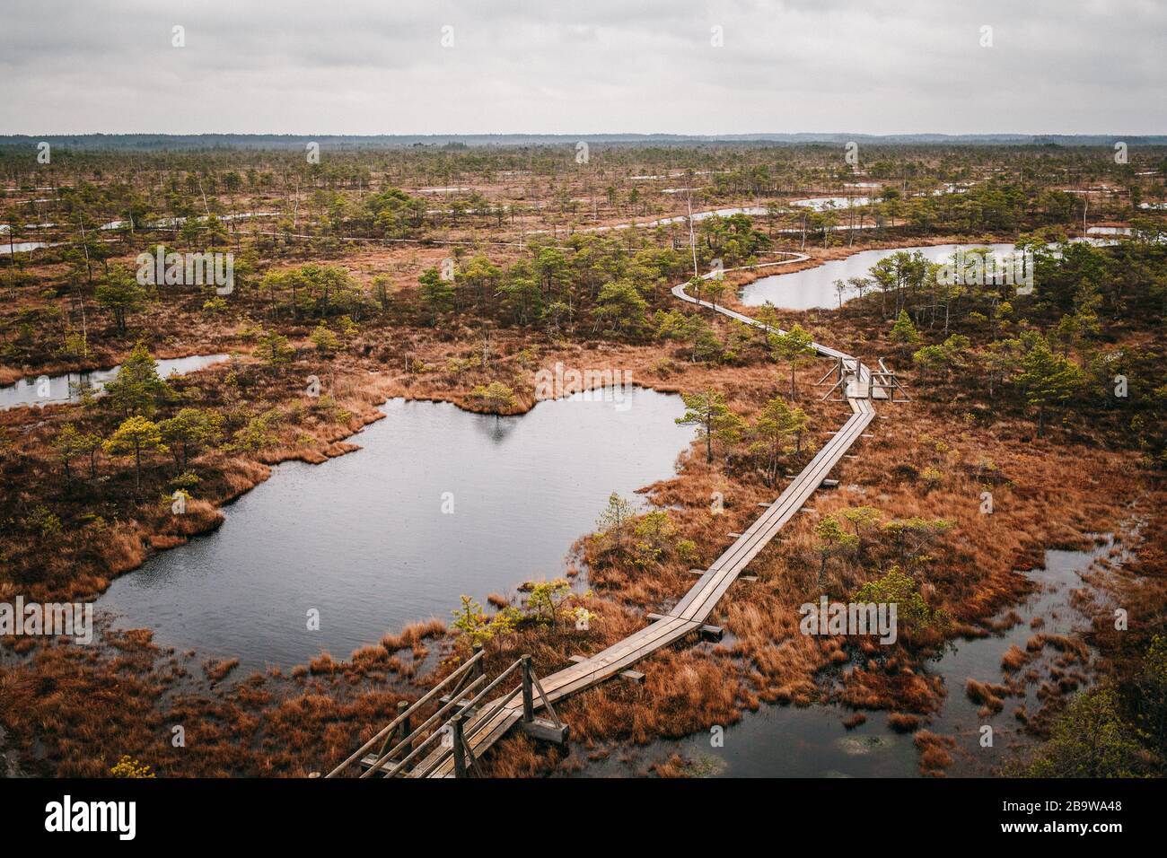 Bog landscape from above, wooden path between ponds Stock Photo - Alamy