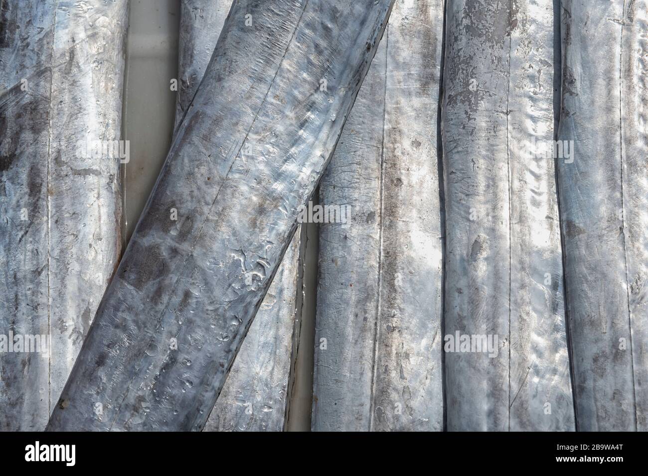 Saber fish detail on a fish market in Essaouira, Morocco. Abstract food ...
