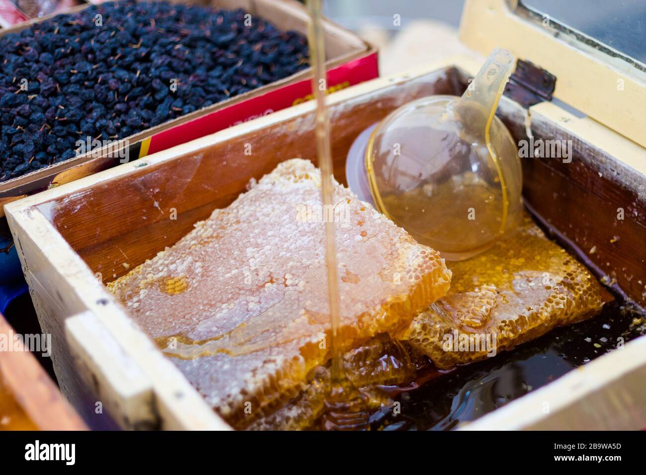 Delicious halva with honey, fresh turkish food in Manavgat, Turkey ...