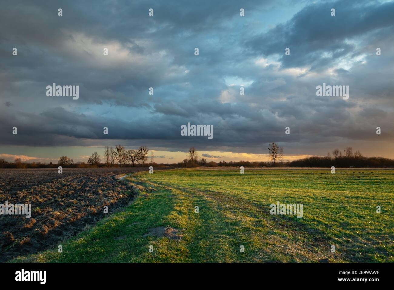Sky backlit hi-res stock photography and images - Alamy