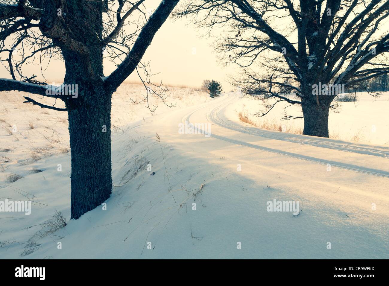 Snow road in winter on a sunny day Stock Photo - Alamy