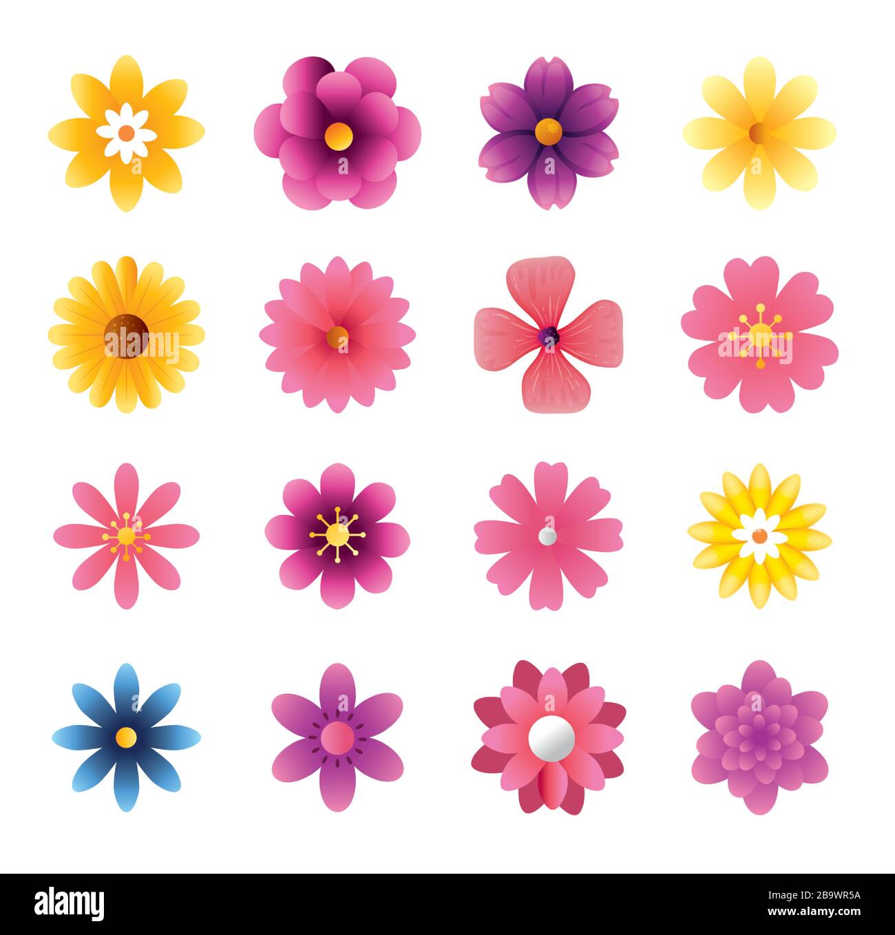 set of cute flowers naturals in white background Stock Vector Image ...