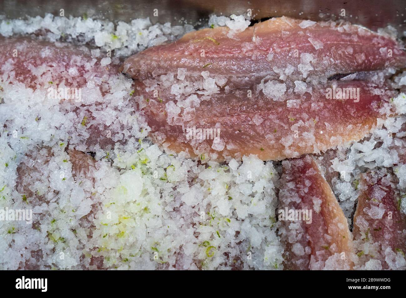 Sardines being cured in salt Stock Photo - Alamy