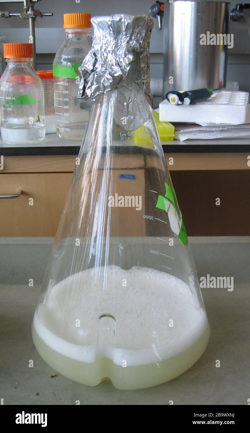 23 February 2006 High Resolution Stock Photography and Images - Alamy