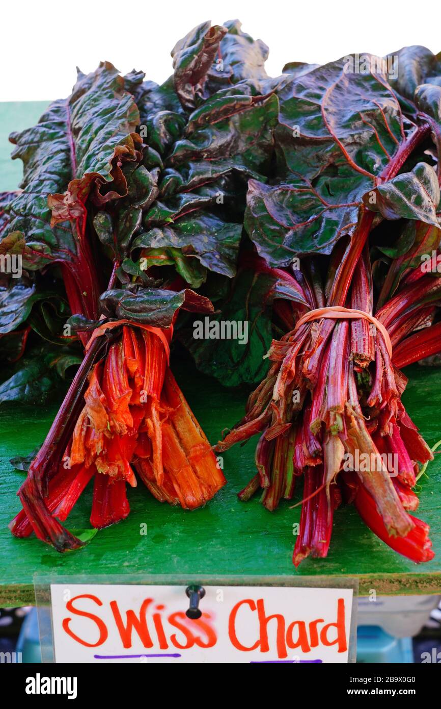 Bunches of rainbow Swiss chard with bright red and orange stalks and ...
