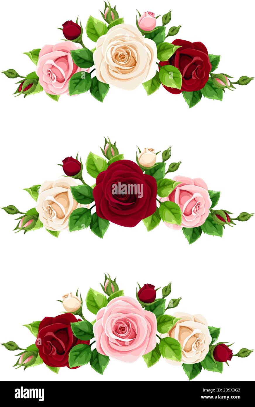 Vector set of pink, burgundy and white roses decorative elements ...