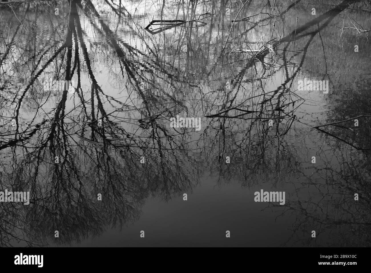 Inside water hi-res stock photography and images - Alamy