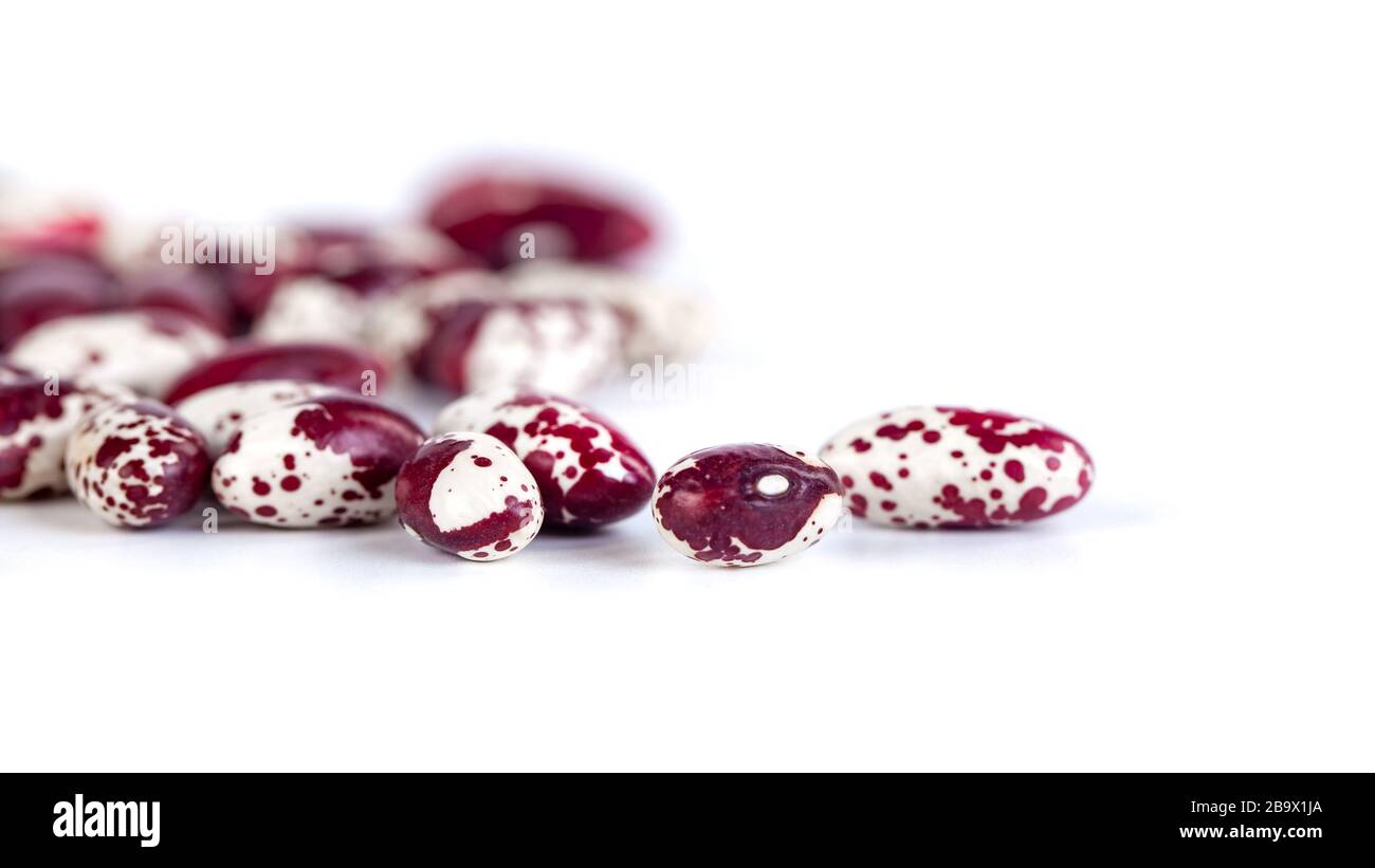 Kidney Shaped Seeds High Resolution Stock Photography and Images - Alamy