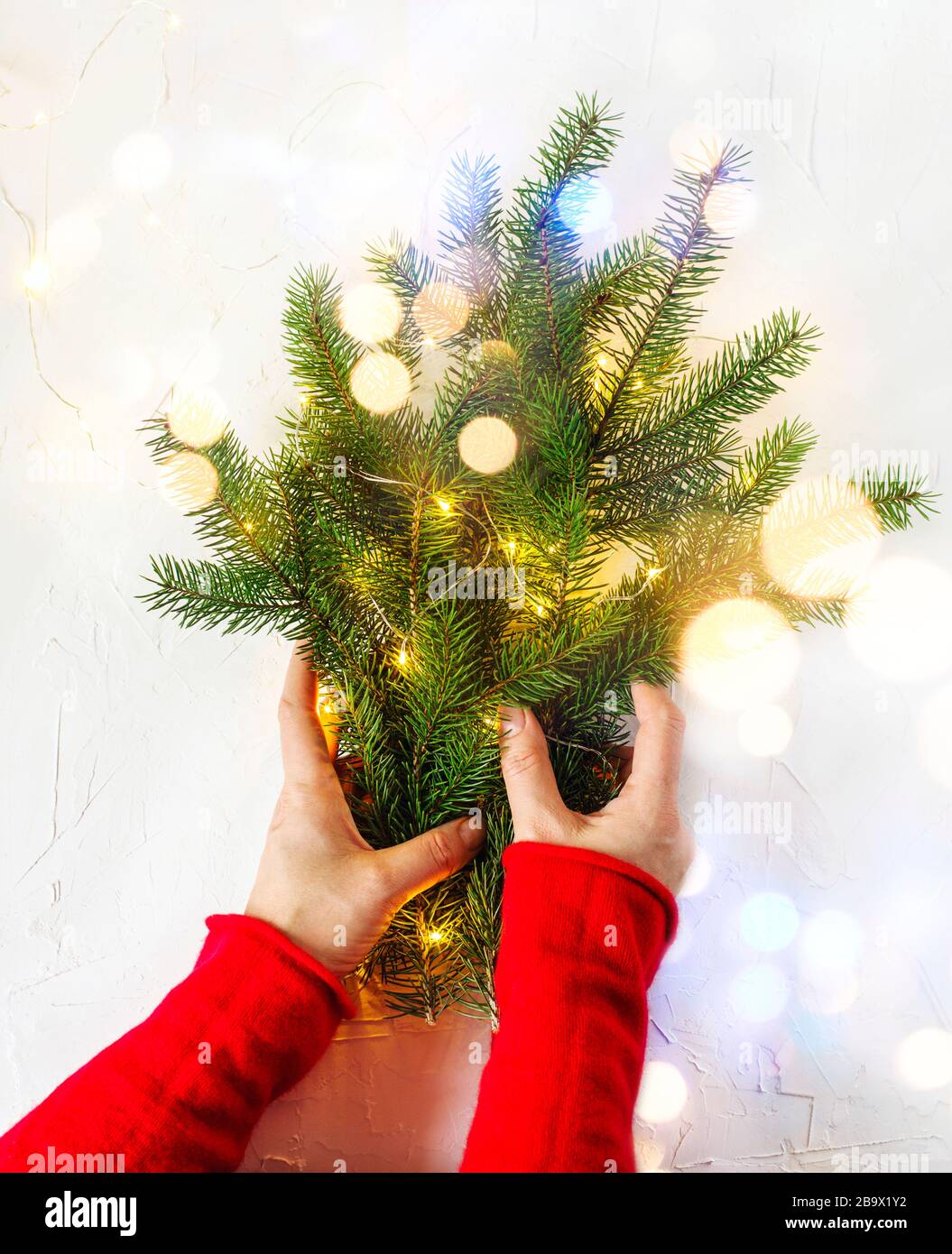 Woman's hand holding fir tree branches, top view Stock Photo - Alamy