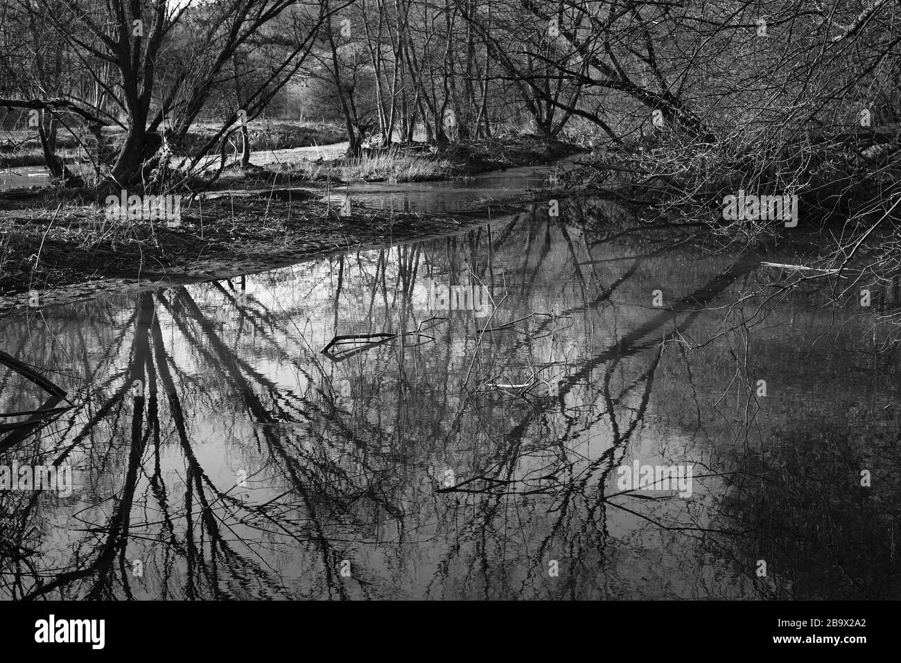 Flowing water plants Black and White Stock Photos & Images - Alamy