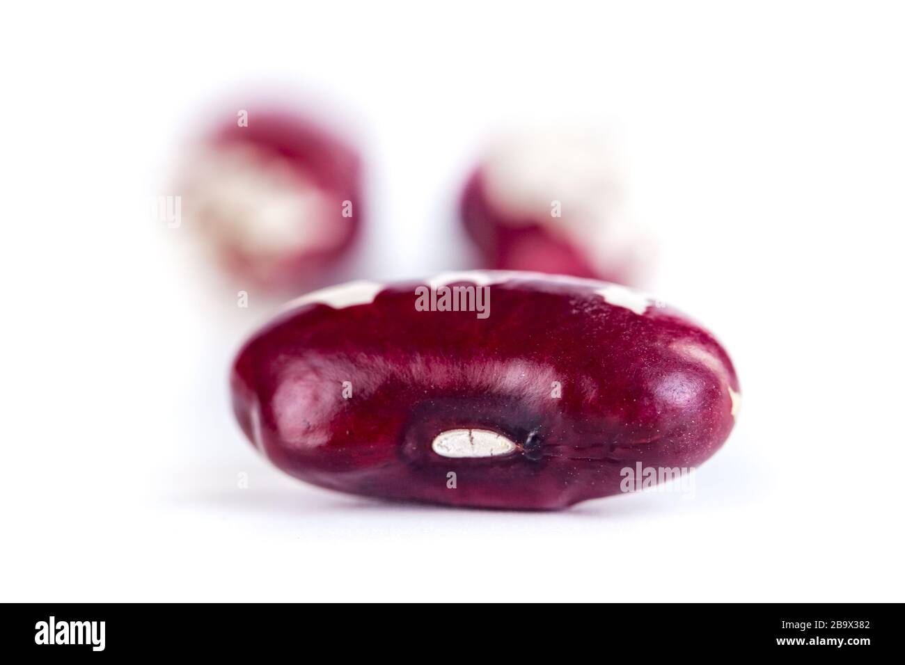 Kidney shaped seeds hi-res stock photography and images - Alamy