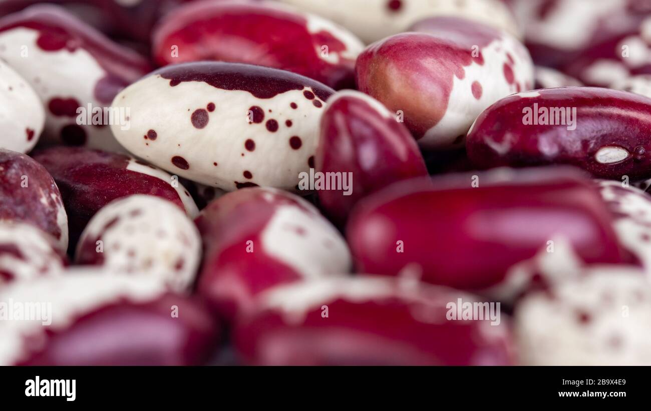Close-up red Beans, fresh healthy food, nature Stock Photo - Alamy