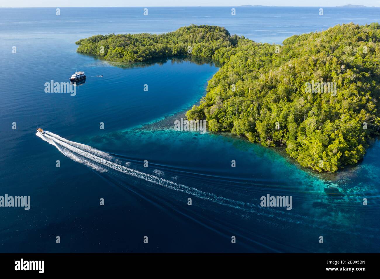 Beautiful coral reefs fringe the islands throughout Raja Ampat ...