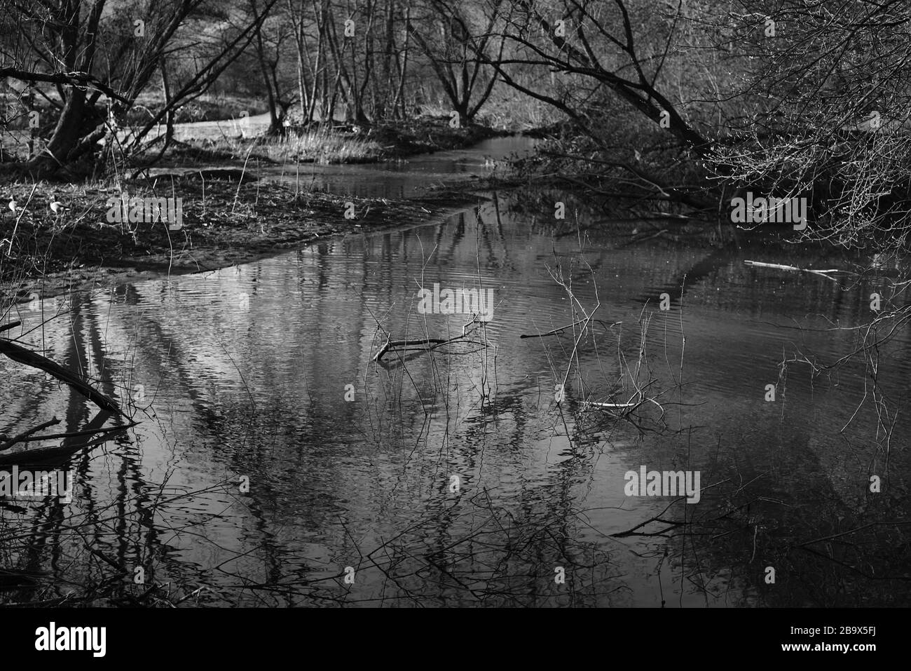Reflexions inside water Stock Photo - Alamy