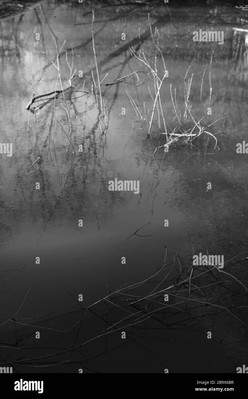 Flooded inside Black and White Stock Photos & Images - Alamy