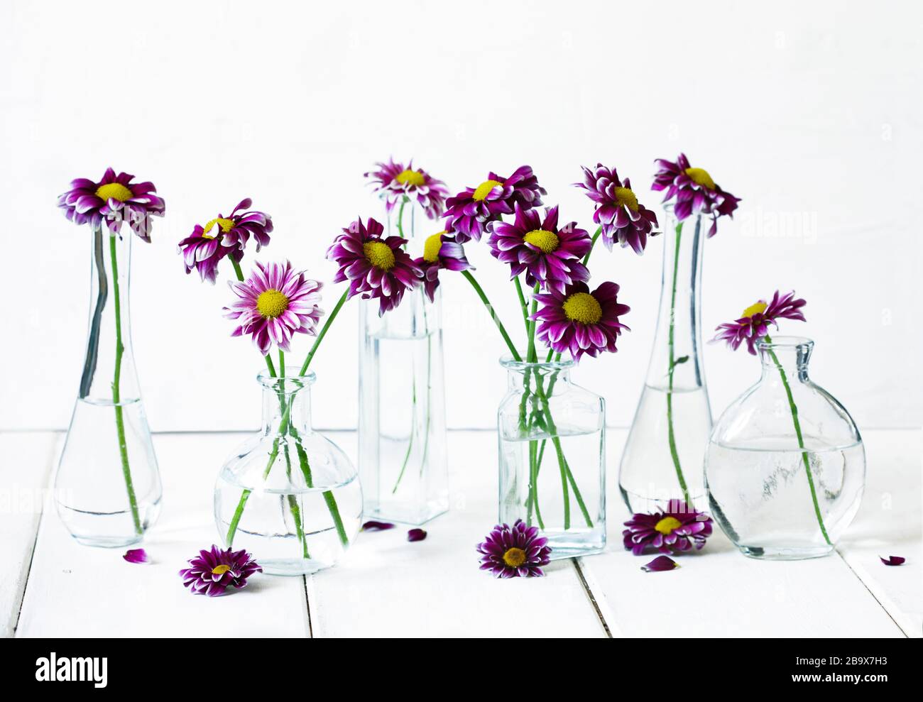 Beautiful colorful flowers in vases Stock Photo - Alamy