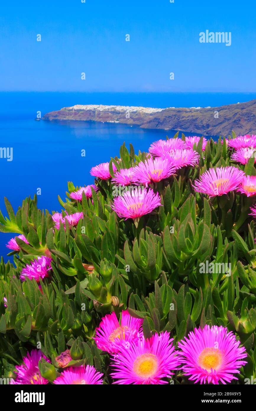 Spring flowers greece island sea hi-res stock photography and images ...