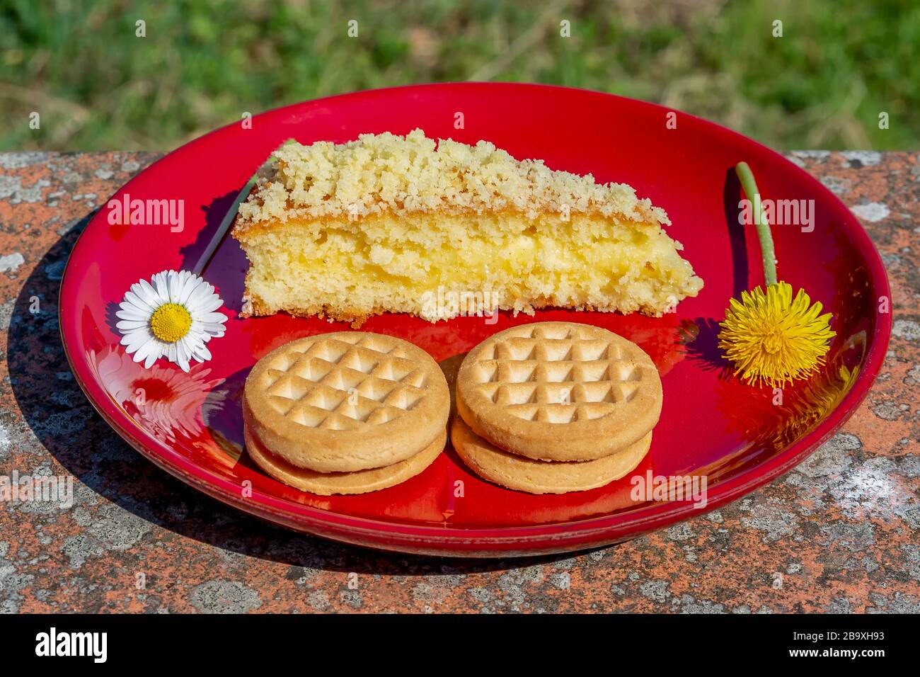 The delicious traditional Italian dessert called mimosa with biscuits ...