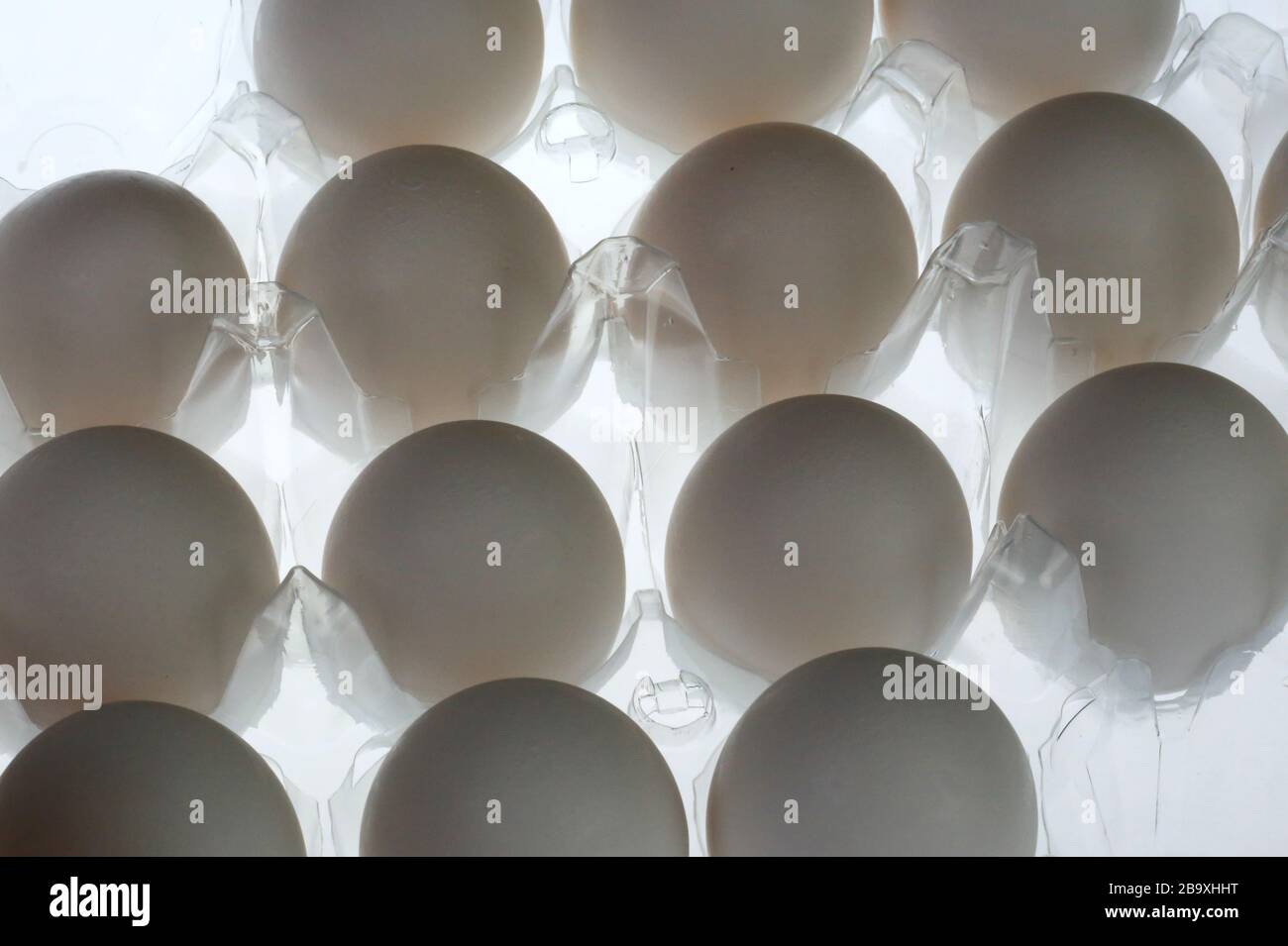 Egg processing and packaging facilities Stock Photo - Alamy
