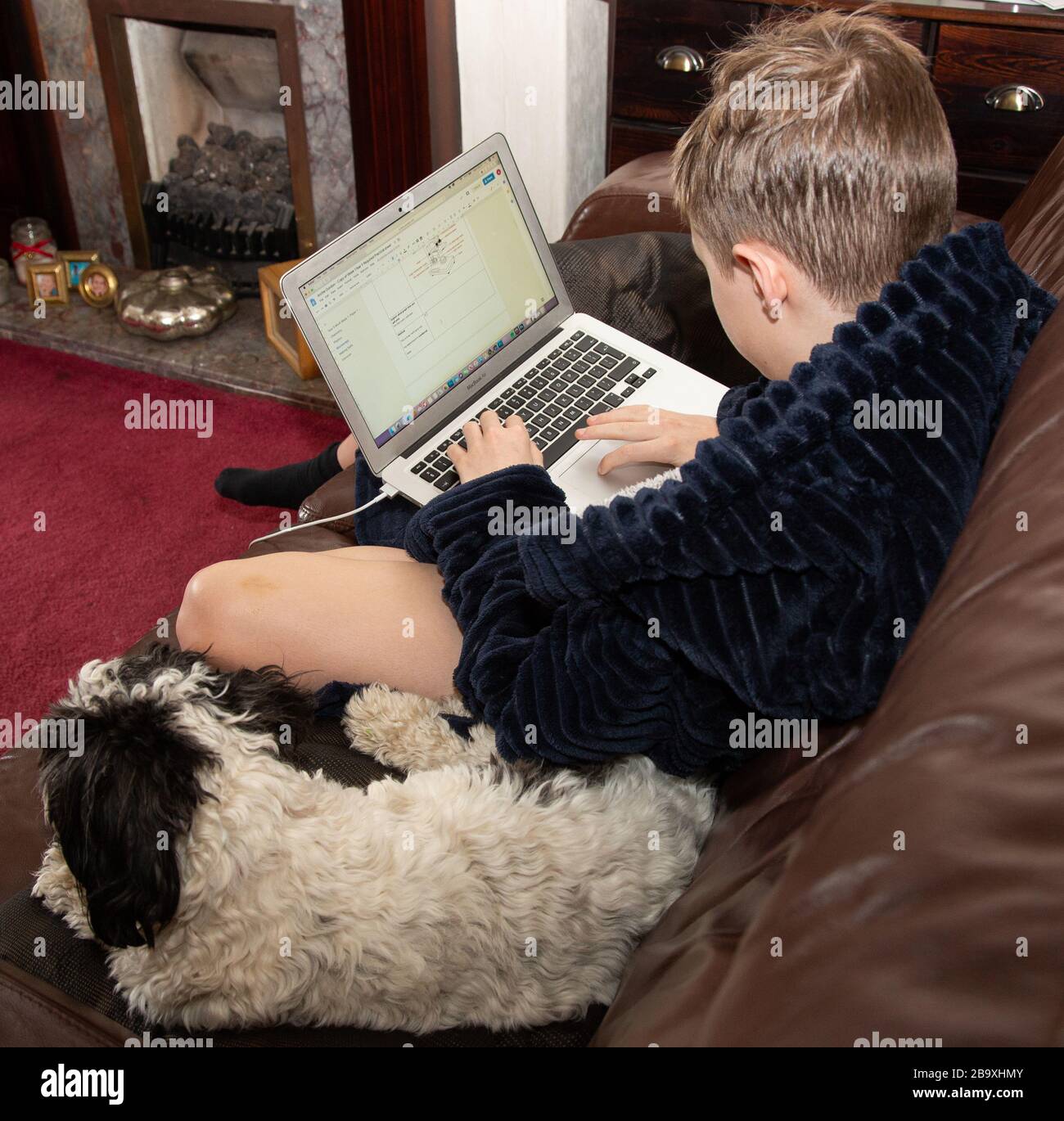 Boy does school work with dog in his dressing gown hi-res stock ...