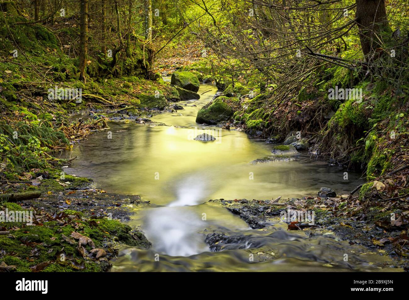Beautiful stream flowing water in the forest Stock Photo - Alamy