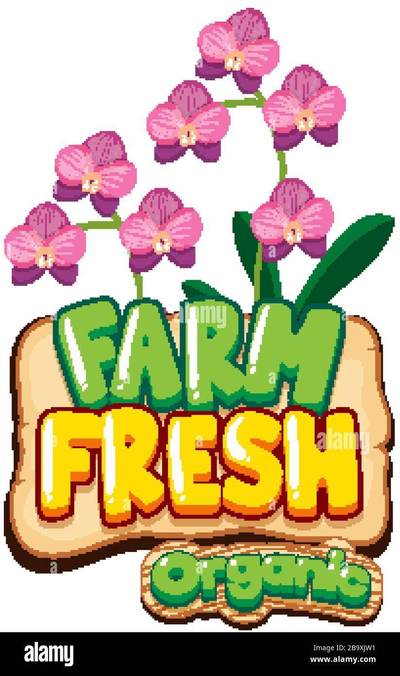 Font design for word fresh farm with purple orchid illustration Stock ...