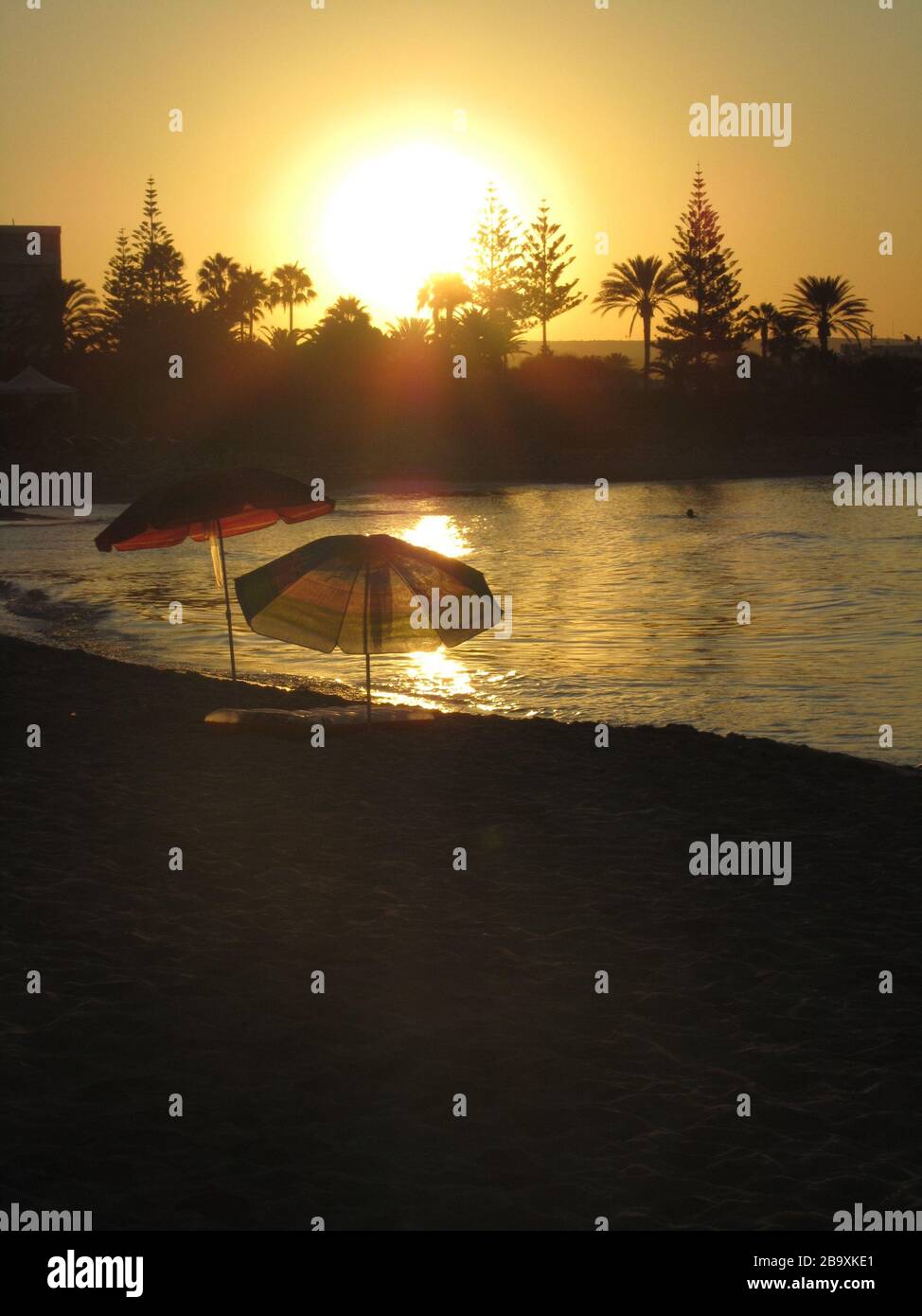 Vertical picture of the beach surrounded by the sea and trees during ...