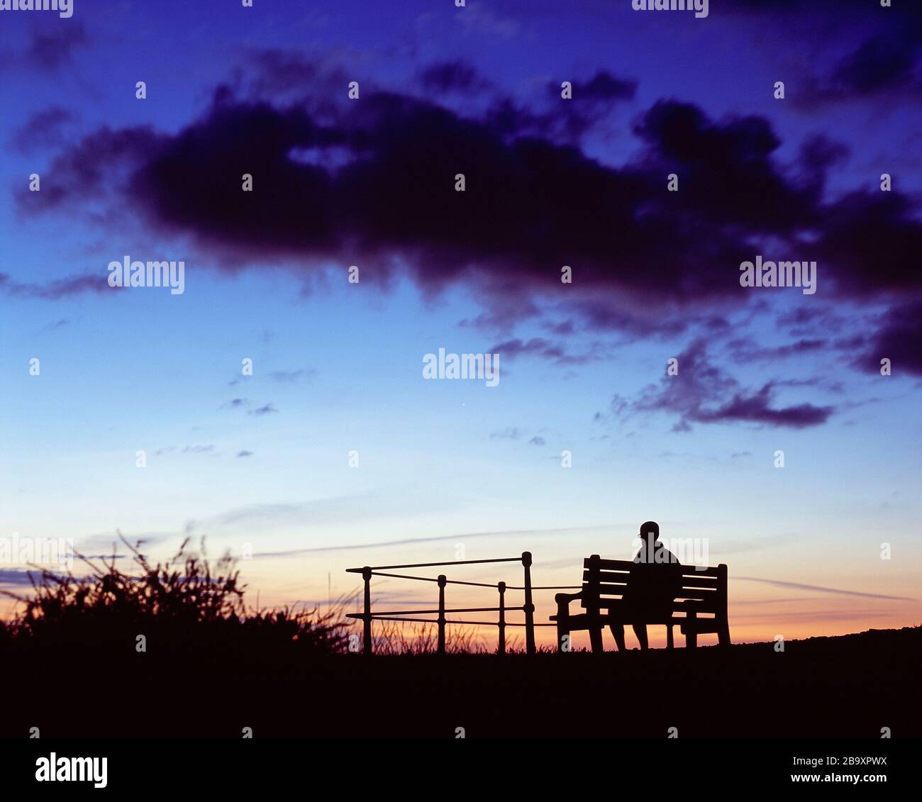 Seated on his back watching sunset hi-res stock photography and images ...