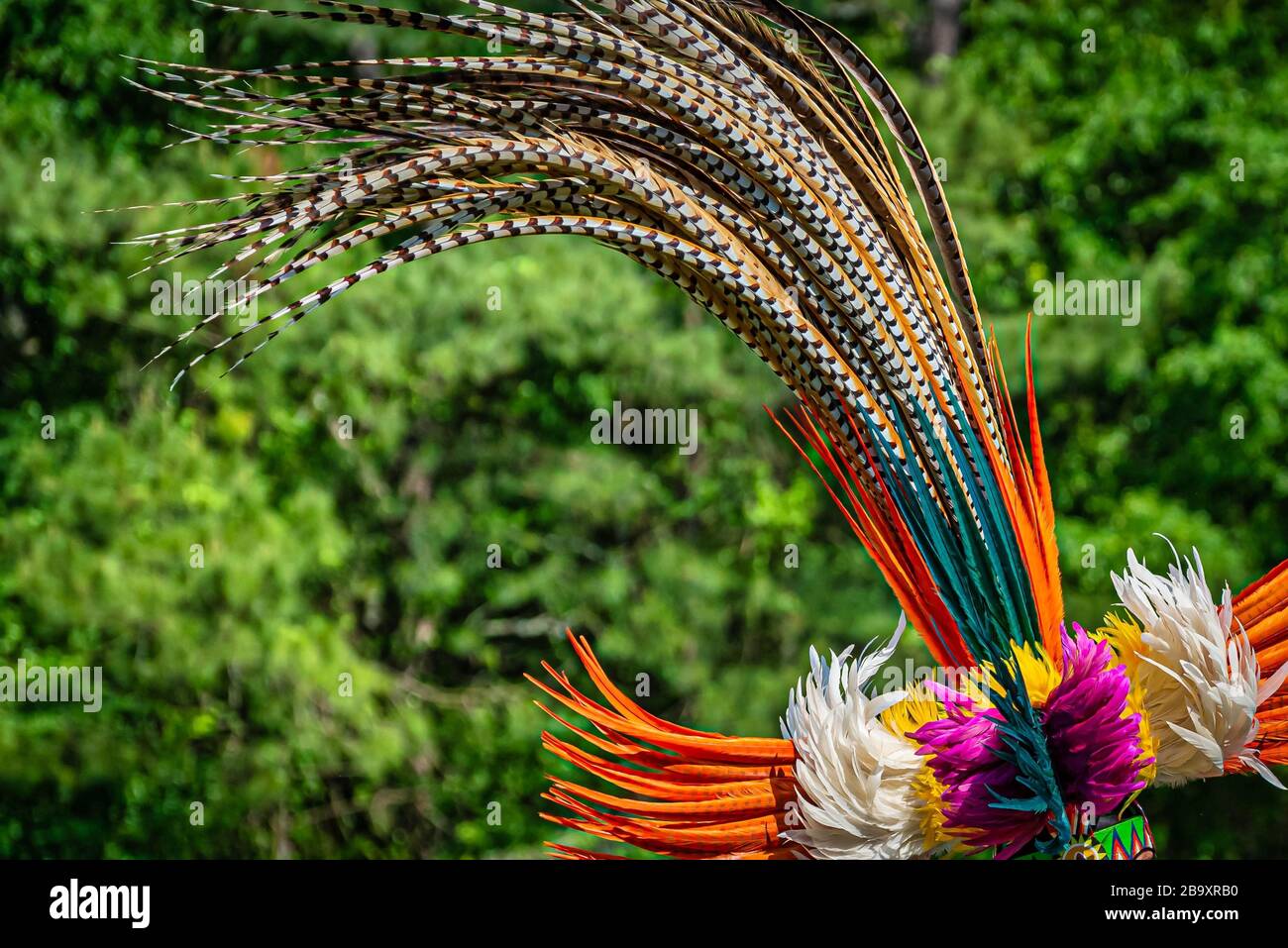 Cherokee indian dance hi-res stock photography and images - Alamy