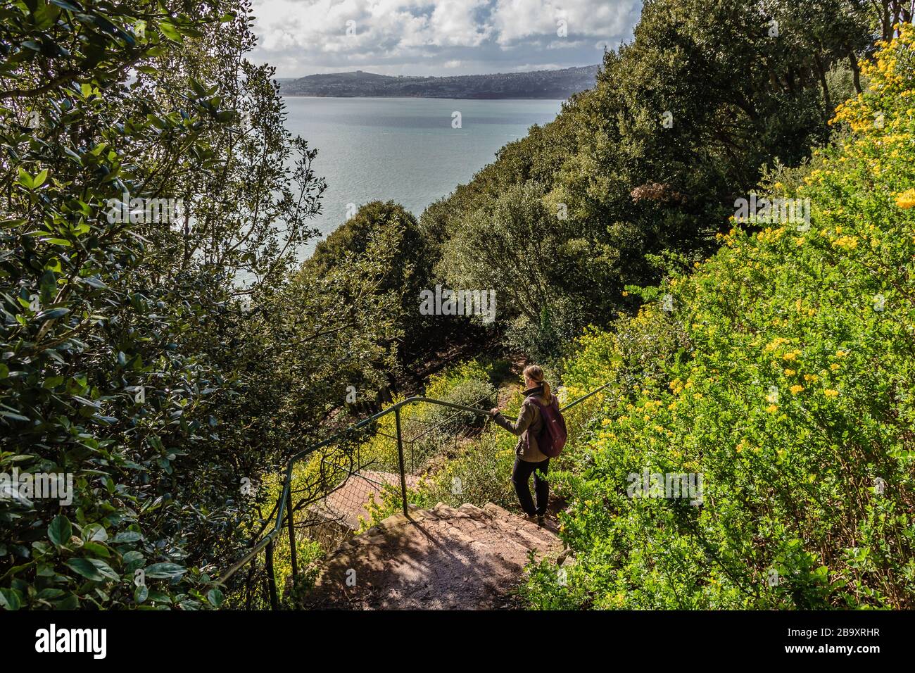 Devon coastal walk hi-res stock photography and images - Alamy