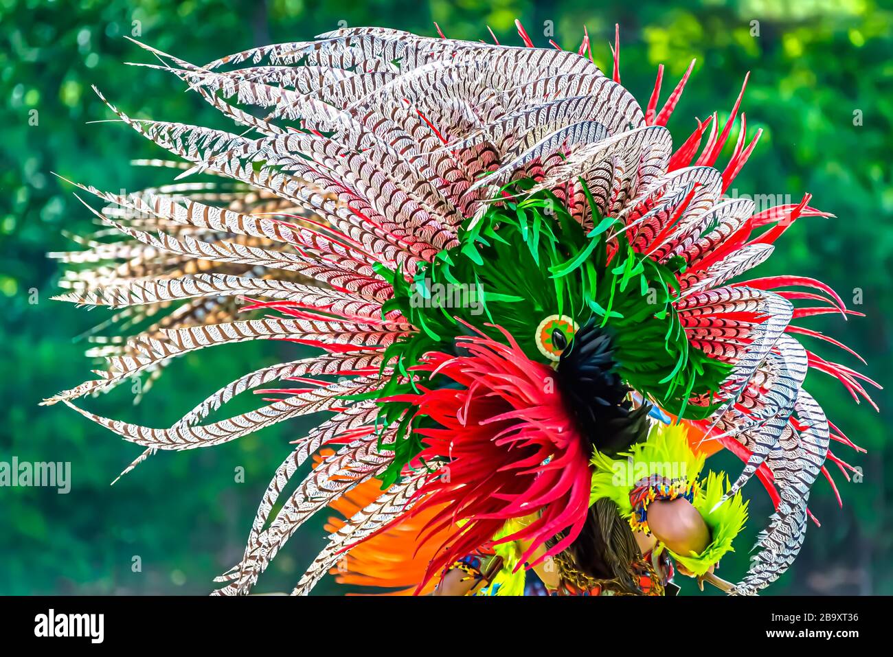 Closeup shot of the colorful feathers of a traditional Native Indian ...