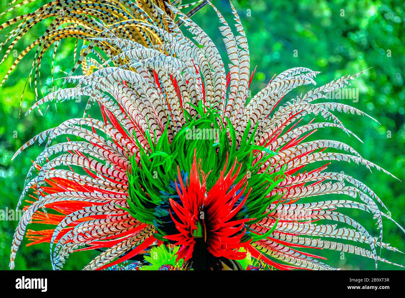 Closeup shot of the colorful feathers of a traditional Native Indian ...