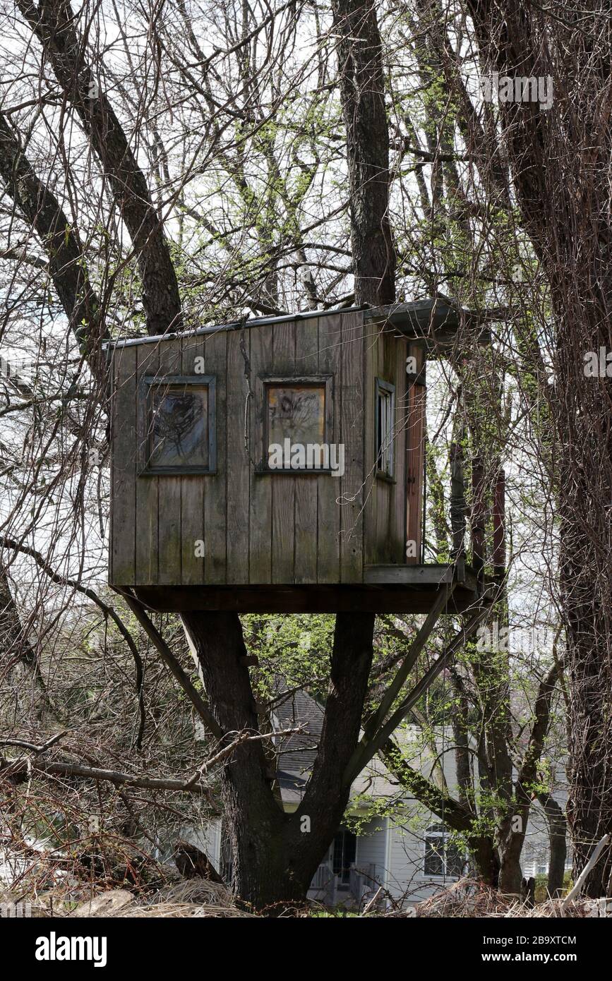 This tree house must be a lot of fun for kids Stock Photo - Alamy