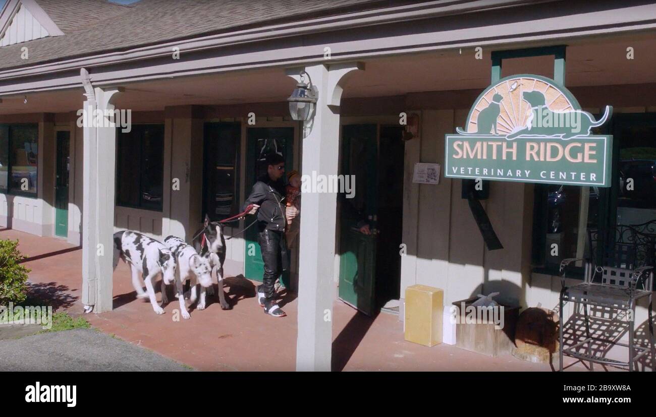 THE DOG DOC, Smith Ridge Veterinary Clinic, South Salem, New York, 2019 ...