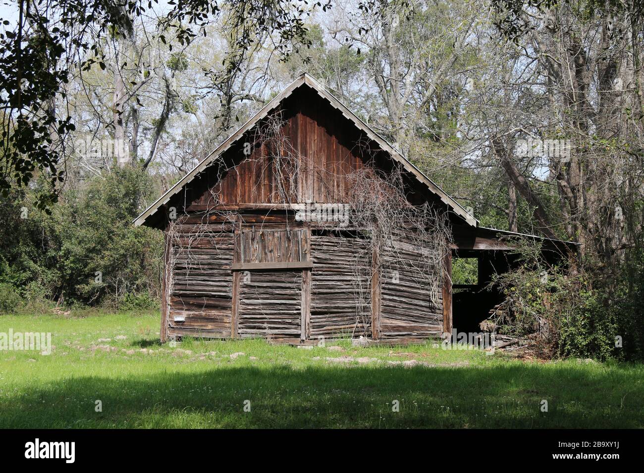 a sunny afternoon featuring an abandoned farm barn building with ...