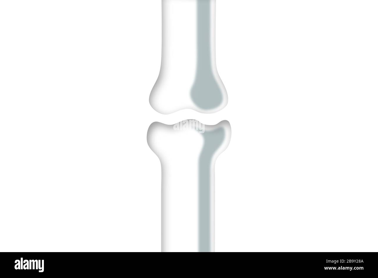 Schematic illustration of human joint Stock Photo - Alamy
