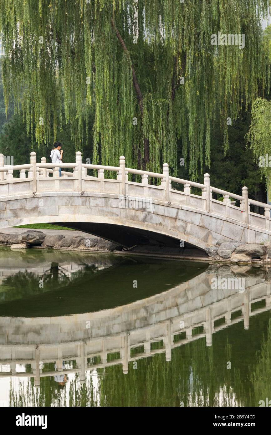 stone bridge, grounds of small wild goose pagoda, Xian, China Stock ...