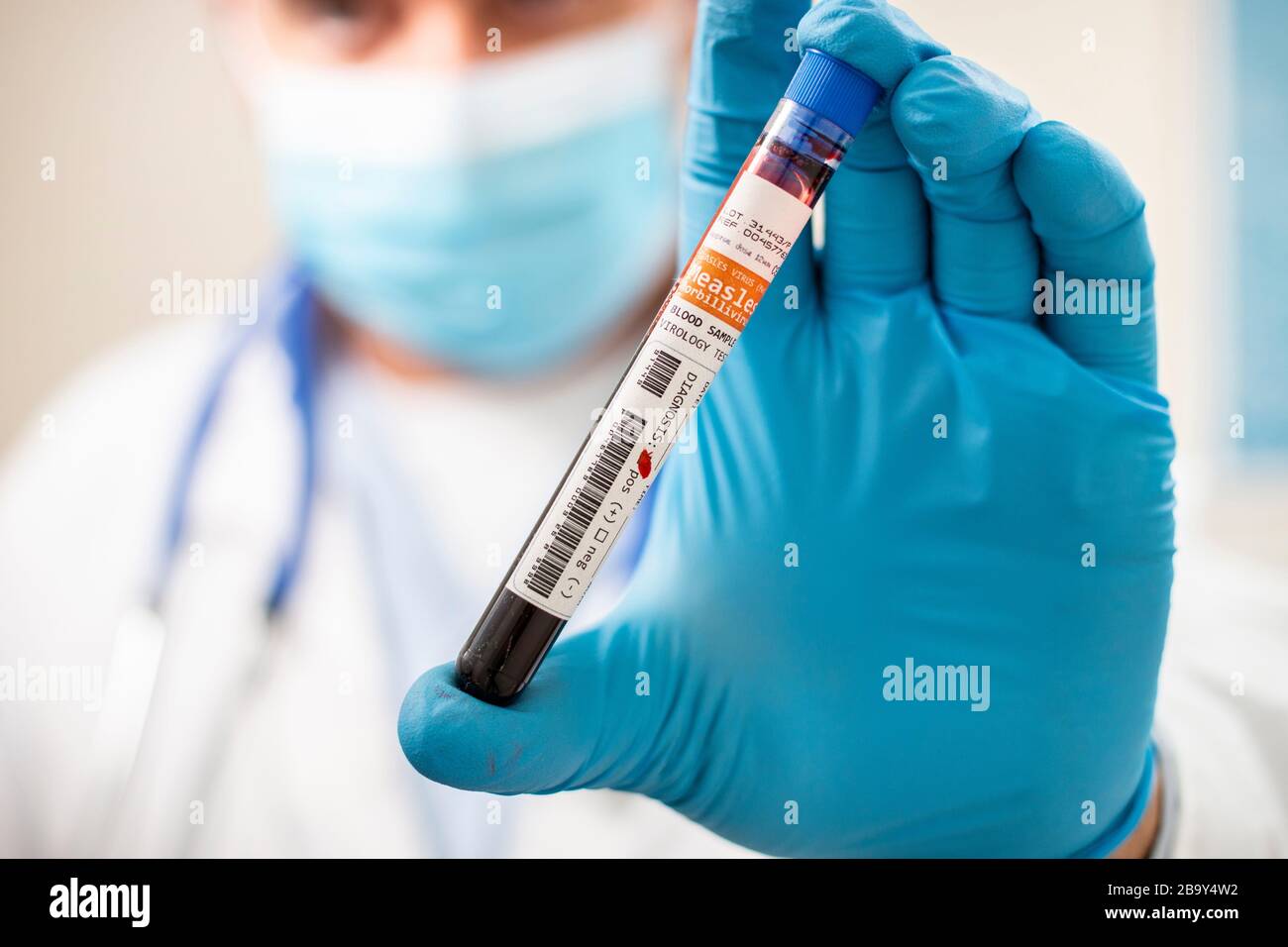 Morbillivirus hi-res stock photography and images - Alamy