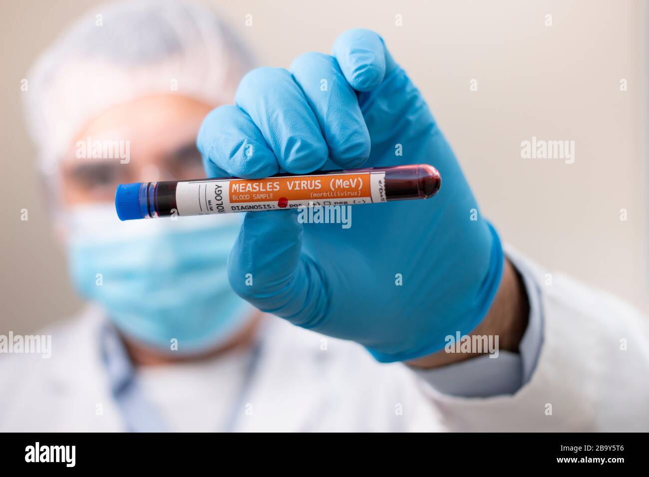 Morbillivirus hi-res stock photography and images - Alamy